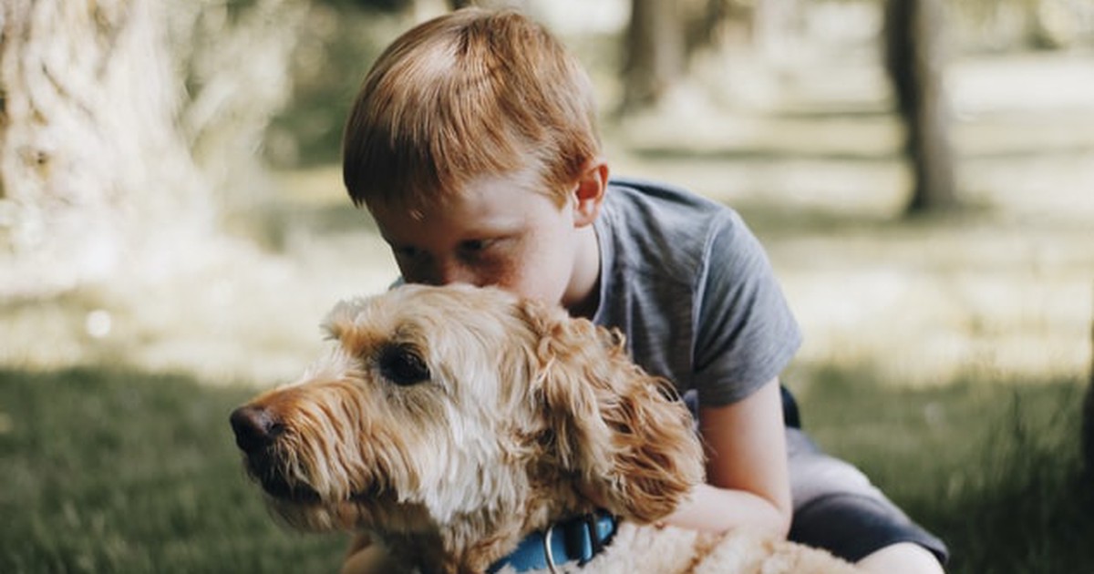 Haustiere, die am besten für Kinder geeignet sind